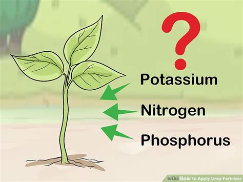 How To Apply Urea Fertilizer 14 Steps With Pictures Wikihow