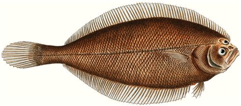 Best Practices When Writing A Dockerfile For A Ruby Application Florin Lipan