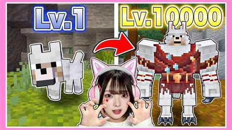 『オオカミとして生きる』マインクラフトで最強になりすぎた🐺🔥【マイクラ マインクラフト Minecraft】【たまちゃん