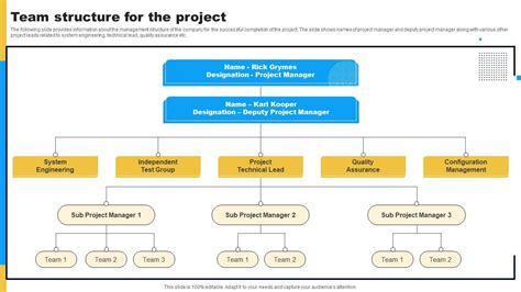 Team Structure For The Project Feasibility Assessment To Improve Ppt Presentation