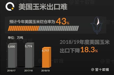 最新：美國玉米面臨滯銷，為何卻反而從巴西進口6萬噸？ 每日頭條