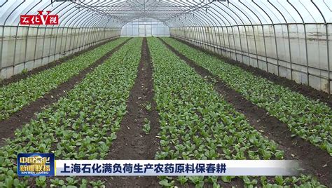 中国石化新闻联播第4143期 2022年03月01日 中国石化网络视频