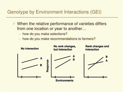 Ppt Combined Analysis Of Experiments Powerpoint Presentation Free