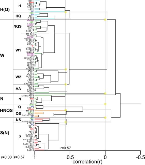 Cluster Analysis Across All 100 Stimuli Prototypical Trained Stimuli