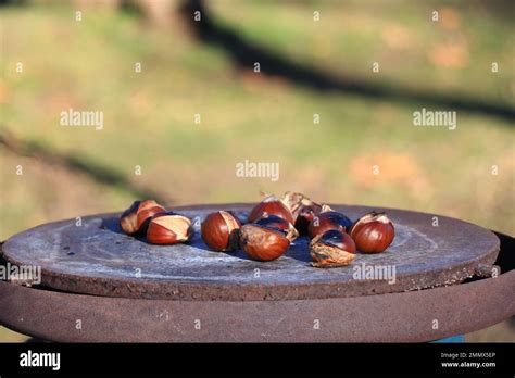 Chestnuts Roasting On An Open Fire Roasted Chestnuts Roast Chestnuts