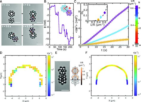 Interlocking Cogwheels In Contact A Timelapse Of Interlocking Download Scientific Diagram