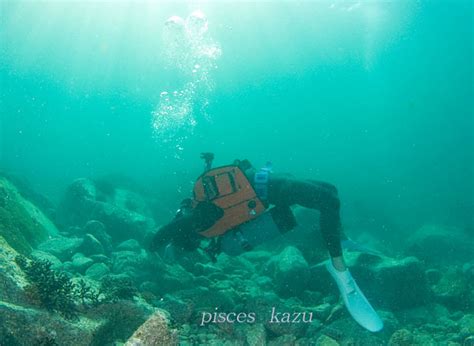 Pisces