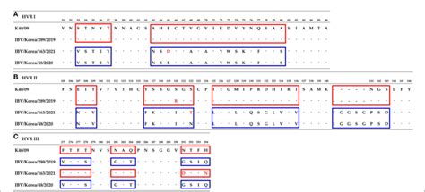 Figure Comparison Of Amino Acids Sequences Of Hypervariable Region At S