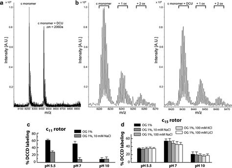 Effect Of Ph And Monovalent Cations On Dccd Labeling Rates Of C Subunit Download Scientific