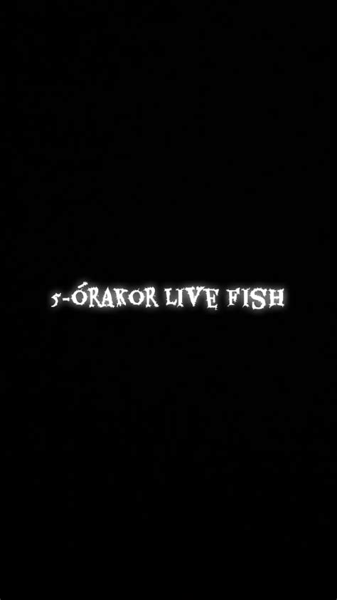 Berci Berci9967 Videója Benne Eredeti Hang Berci Tiktok