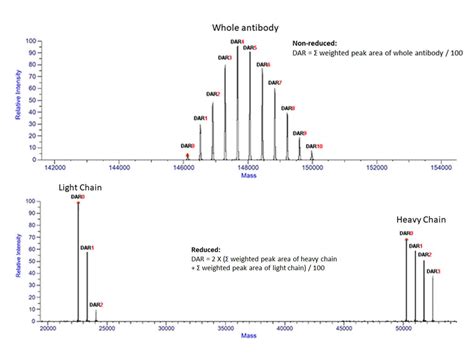 Drug Antibody Ratio Dar Determination Biogenuity Llc