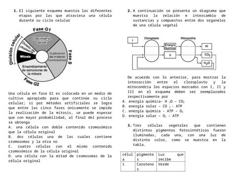 DOC PREGUNTAS DE SELECCIÓN MÚLTIPLE CON Web viewEl siguiente