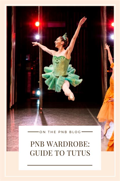 Wardrobe Types Of Tutus Tutu Tutu Costumes Ballet Costumes Tutus