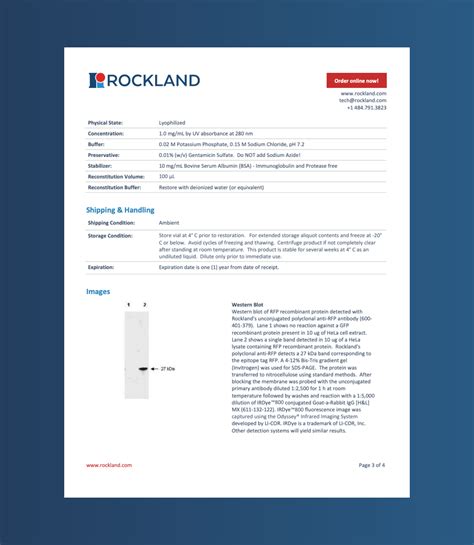 Rockland Immunochemicals Lab A Porter