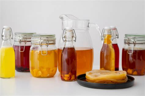 Apa Itu Probiotik Definisi Sejarah Dan Manfaat Wiki Kombucha
