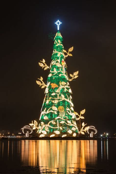 13 новогодних елок, от красоты которых замирает сердце (13 фото) — FotoJoin