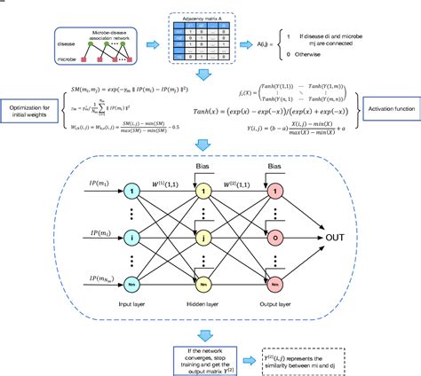 Figure 1 From Identifying Microbe Disease Association Based On A Novel Back Propagation Neural