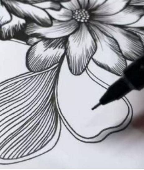 Pen And Ink For Beginners Course By Malahide Community School Adult
