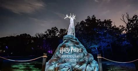 新加坡哈利波特禁林之旅来啦！户外沉浸式夜游，走进魔法世界 狮城新闻 新加坡新闻