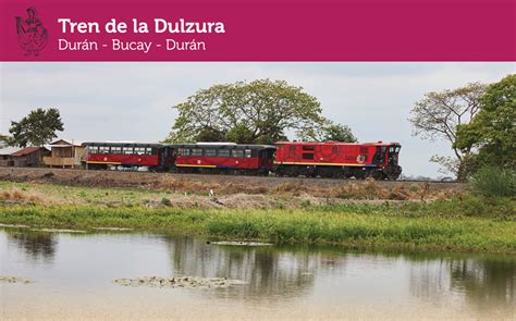 Somosdelmismobarro El Tren De La Dulzura La Nueva Experiencia