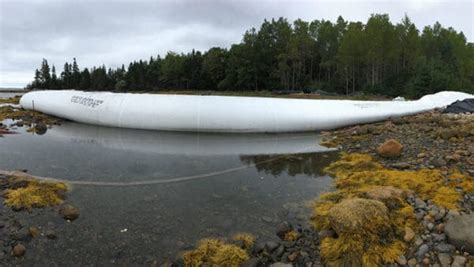 Whats The Difference Between A Caisson And A Cofferdam Application