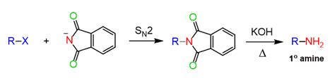 The Gabriel Synthesis Chemistry Steps