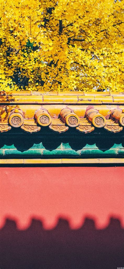 Ghim Của Mieseyo Trên Aesthetic Background Wallpaper
