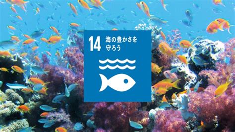 SDGs目標14海の豊かさを守ろうの現状と私たちにできること