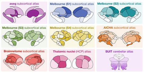 Subcortex Visualization