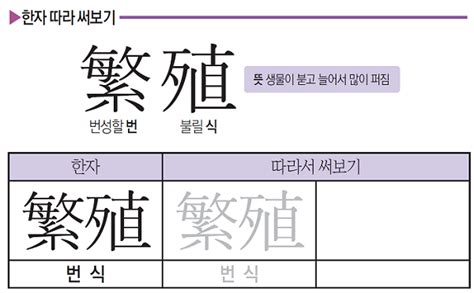 세계에서 가장 위험한 새 ‘화식조 호주 해변에서 발견돼