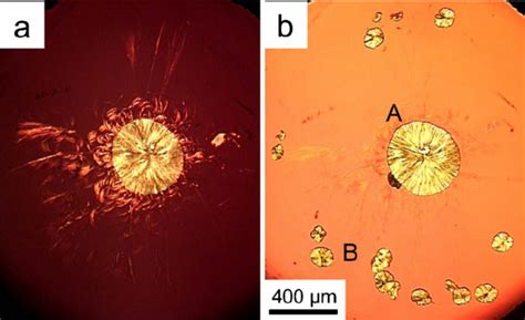 A Fibers Of Yt04 A Roy Polymorph Emerging At 270 K In 250 Min From A Download Scientific
