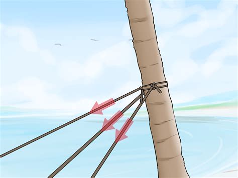 How To Remove A Palm Tree Steps With Pictures WikiHow