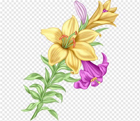 백합 꽃 플로랄 디자인 꽃다발 컷 꽃 화환 꽃잎 그림 장미 꽃 꽃을 잘라 옥잠화 플로라 Png Pngwing