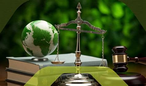 Legislação Ambiental Brasileira Tudo O Que Você Precisa Saber