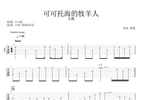 王琪 可可托海的牧羊人吉他谱指弹 独奏曲 318曲谱