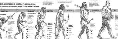 Evolución De Los Alimentos Desde La Prehistoria Hasta Hoy Talayots