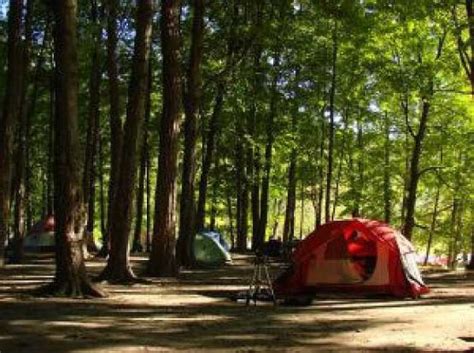 Camping Urlaub Im Schwarzwald Zelten Wohnwagen