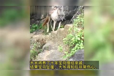 大爷将养了十年的宝马借亲戚，结果宝马坠崖。大爷：真的十分伤心大爷结果亲戚