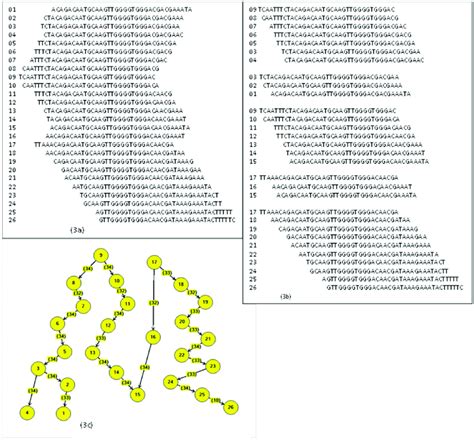 Directed Graph From A Group Of Fragments 3a Semi Assembled