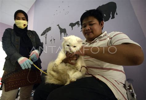 HARI BINATANG SEDUNIA ANTARA Foto