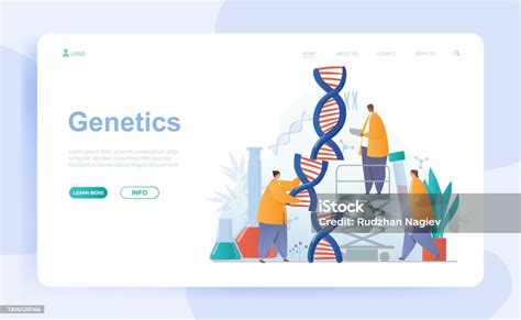 남성과 여성 캐릭터는 유전학에 노력하고 있습니다 Dna에 대한 스톡 벡터 아트 및 기타 이미지 Dna 팀워크 건강관리와