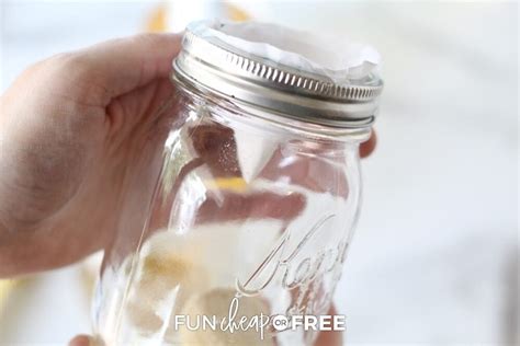 How To Catch Fruit Flies At Home With 2 Easy Ways Fun Cheap Or Free