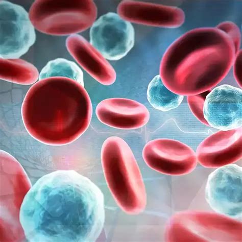 Lymphocytes Test Price In Delhi Cost Near Me India Ganesh Diagnostic