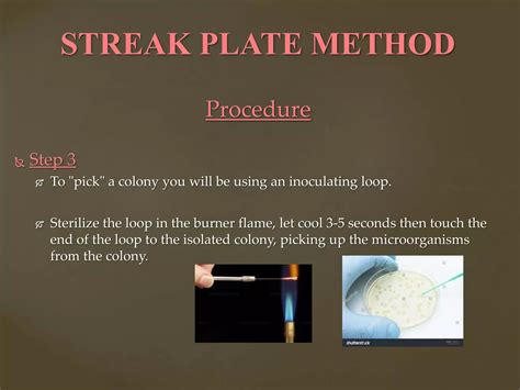 The Streak Plate Method Pptx