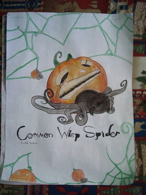 Common Wisp Spider By Flinch Finchey On Deviantart