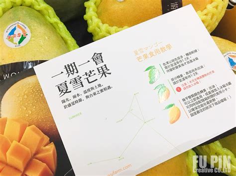 高雄水果伴手禮推薦 芒果界的lv 夏雪芒果｜今夏最夯的芒果皇后 飽滿鮮甜香氣濃郁 ｜游游農產 精品水果禮盒 Bonjour Miss Vivi