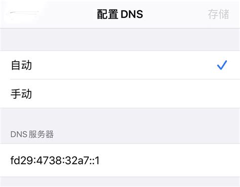 已解决 Ipv6环境下局域网客户端默认获取ipv6 Dns服务器 · Issue 5260 · Coolsnowwolflede
