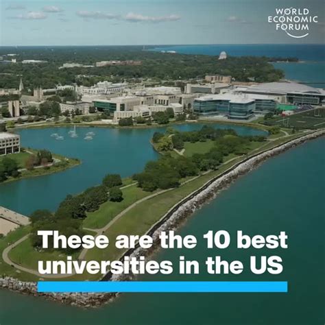 Navid Saadati On Linkedin University