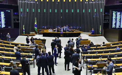 Câmara Aprova Regras Menos Rígidas Para Plantação De Eucalipto
