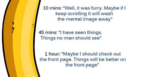 What Was The Furry Thing Imgur